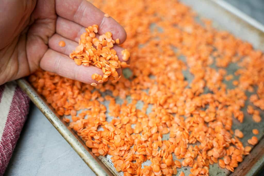 Red Dahl Recipe (Sattvic Masoor Dal)