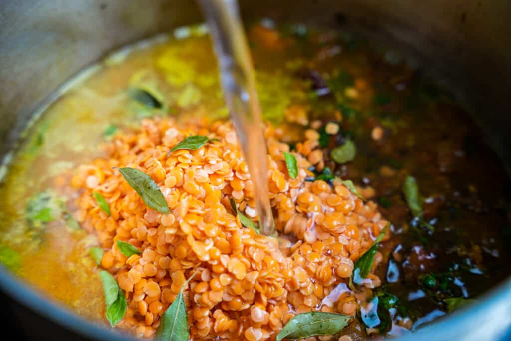 Red Dahl Recipe (Sattvic Masoor Dal)