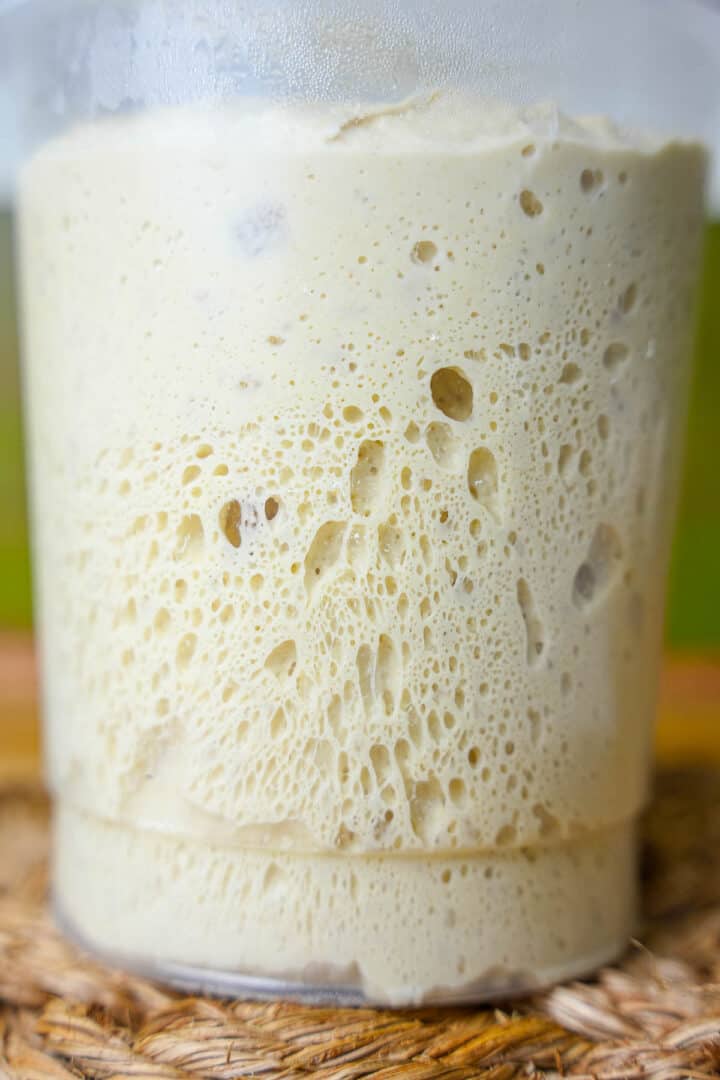 Msemen Recipe (Flaky Vegan Moroccan Rghaif)