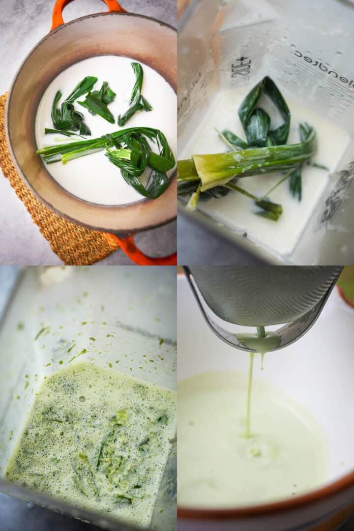 Kuih Dadar | Kuih Ketayap (Malaysian Pandan Coconut Crepes)