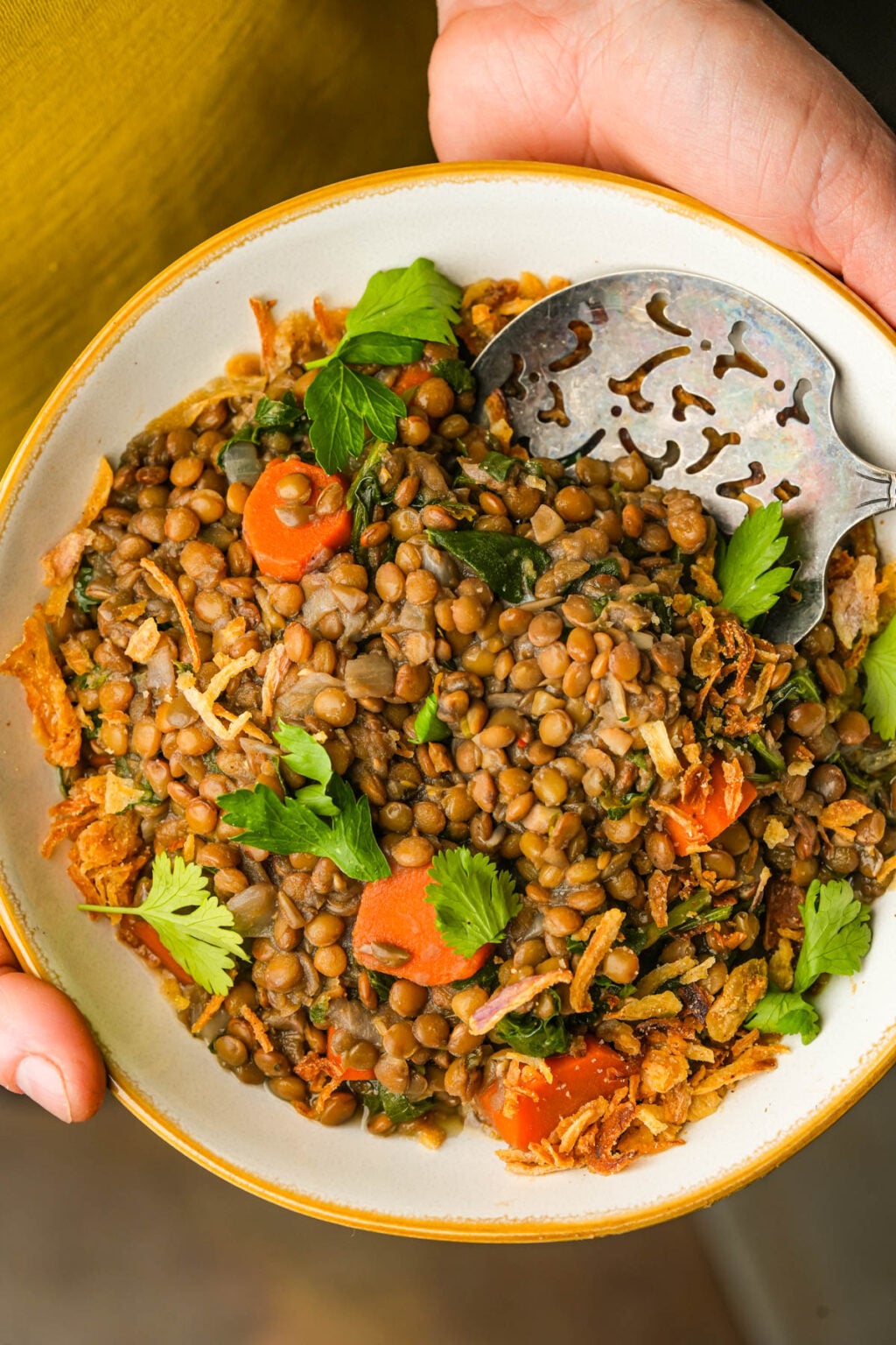 Moroccan Spiced Lentils Recipe