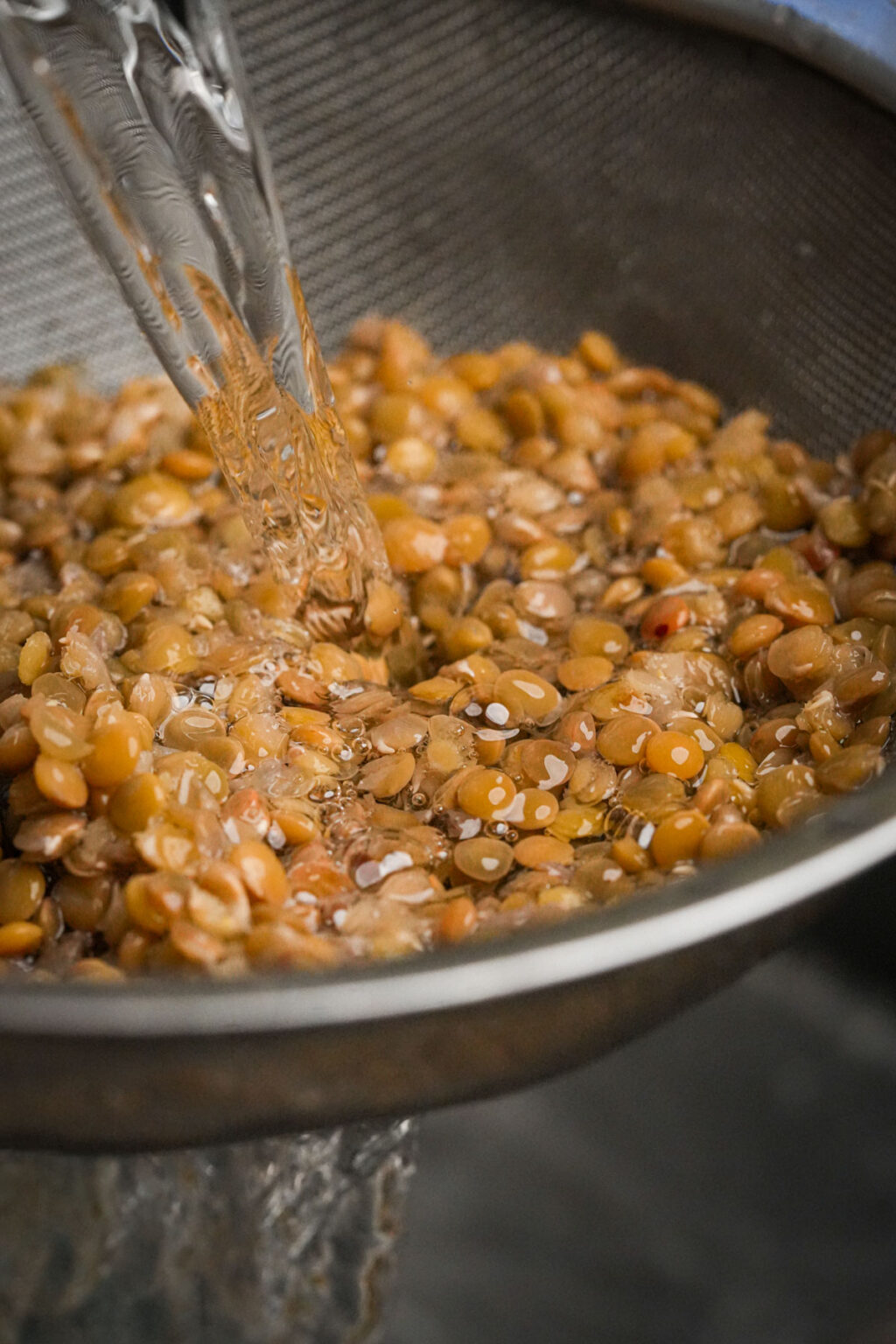 Vegan Chopped Liver Recipe